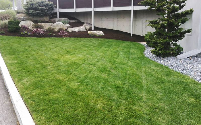 Portfolio - Dolan Landscaping Maintenance & Construction