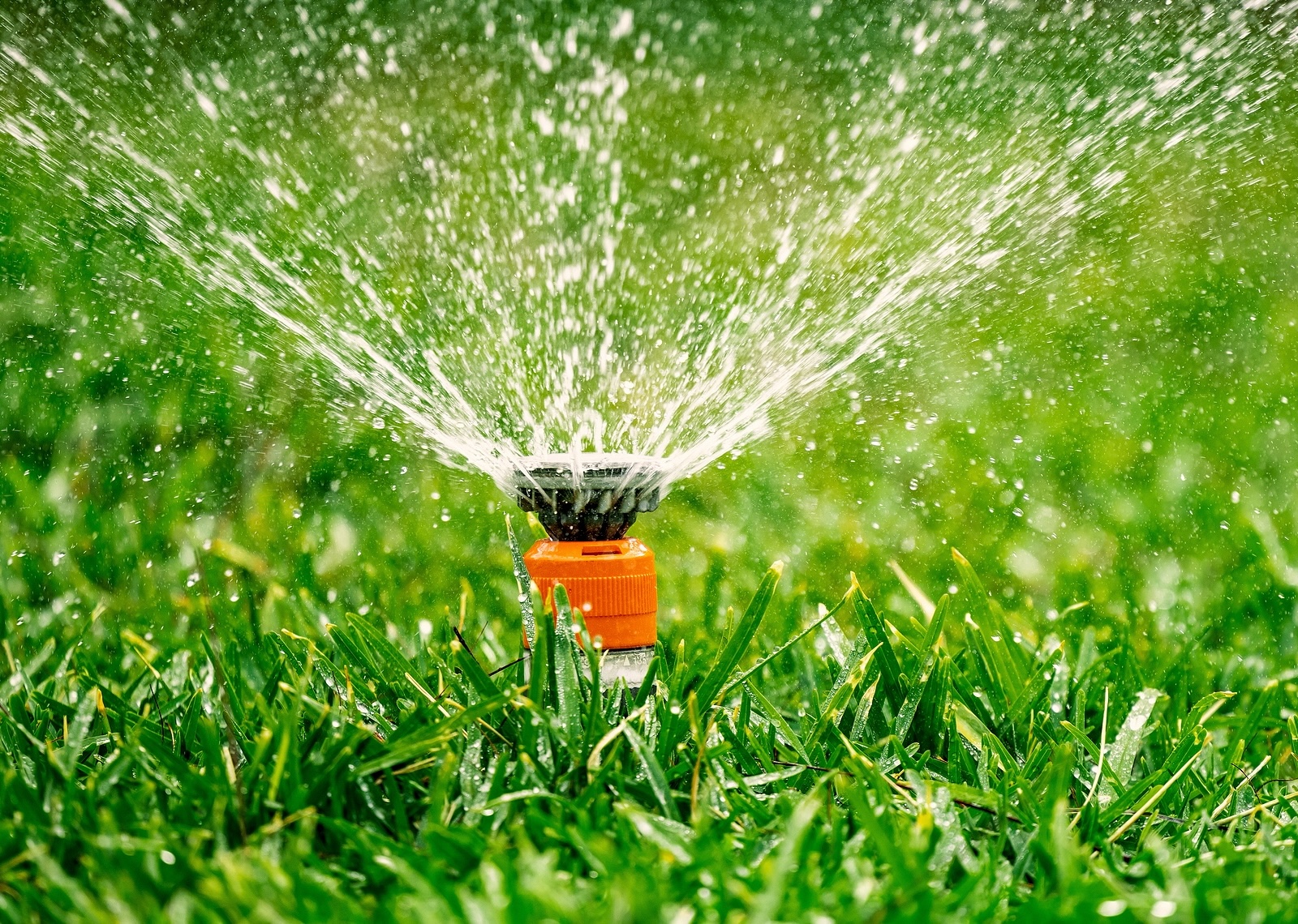 Picking the Right Irrigation: Rotary Sprinkler - Dolan Landscaping