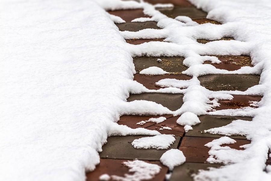 Preparing Your Backyard for Winter - Dolan Landscaping